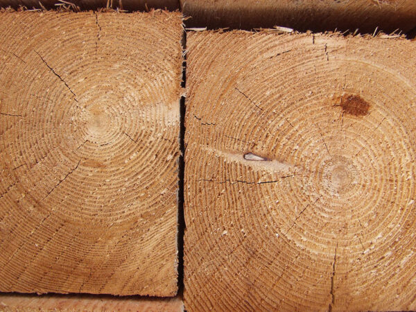 Knotty Cedar Timbers | PowerWood Corp.